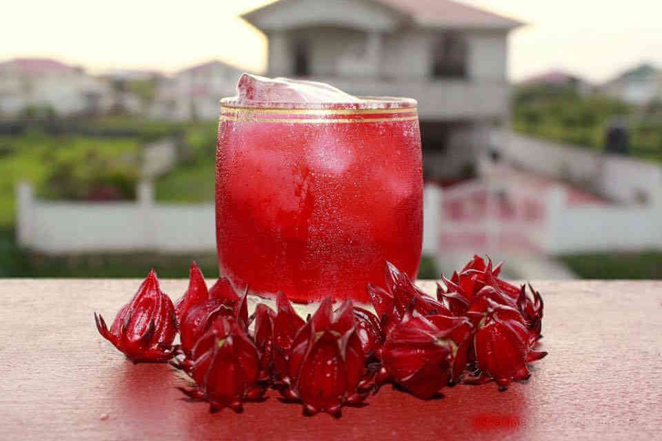 Caribbean sorrel drink gets international acclaim at Christmas ...